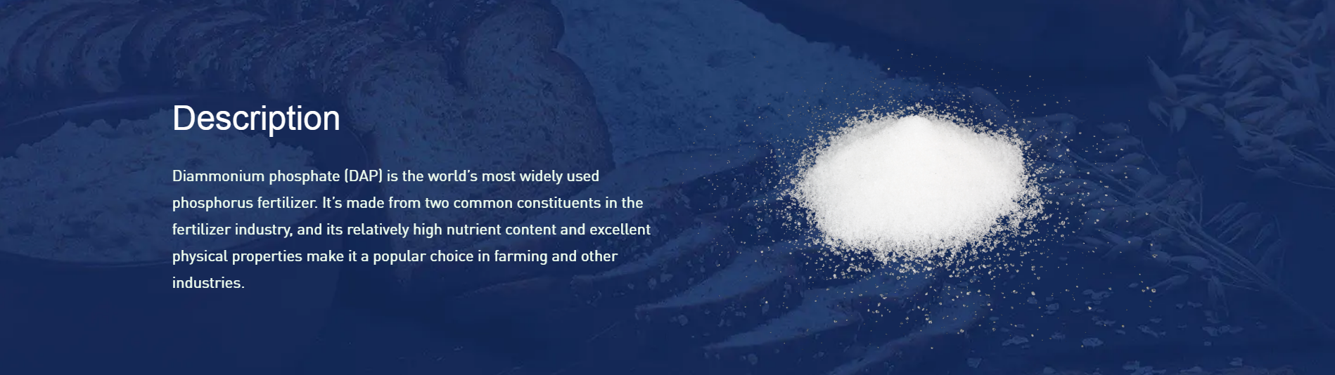 Diammonium Phosphate (DAP)